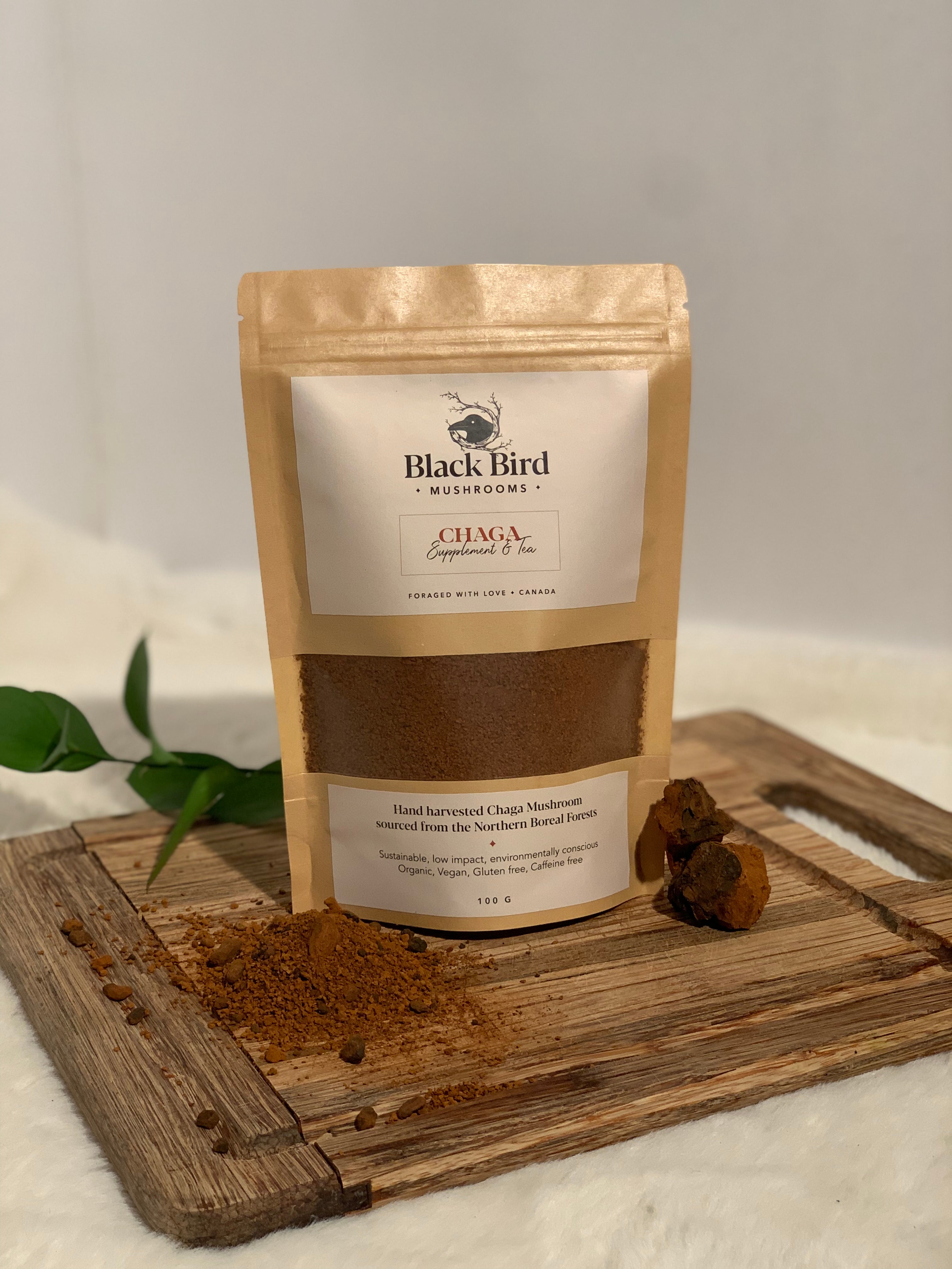 Chaga Mushroom – Black Bird Mushrooms